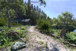 Skatter V2 – Render DC