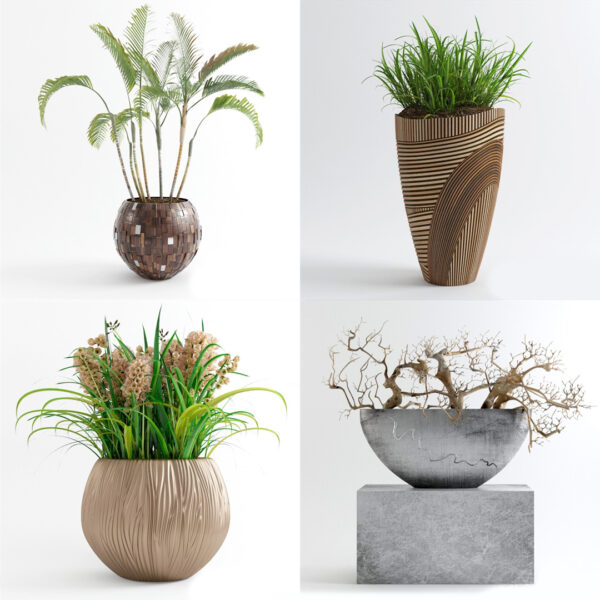 PACK 05 VEGETACION – Render DC