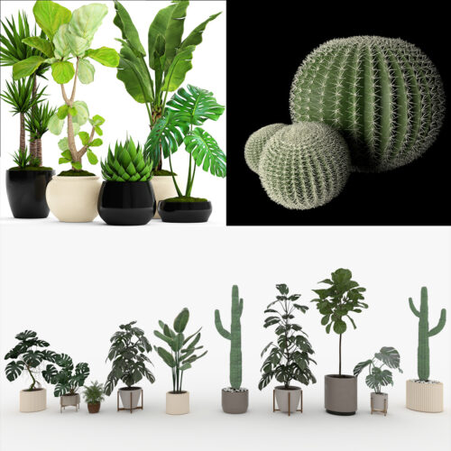 PACK 05 VEGETACION – Render DC